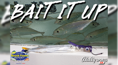 TACO Marine | 2023 FIFR Ep 7 Bait TACO Marine | 2023 FIFR Ep 7 Bait ...